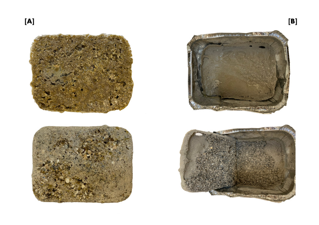 Seashells / Biocomposite material – IAAC Blog