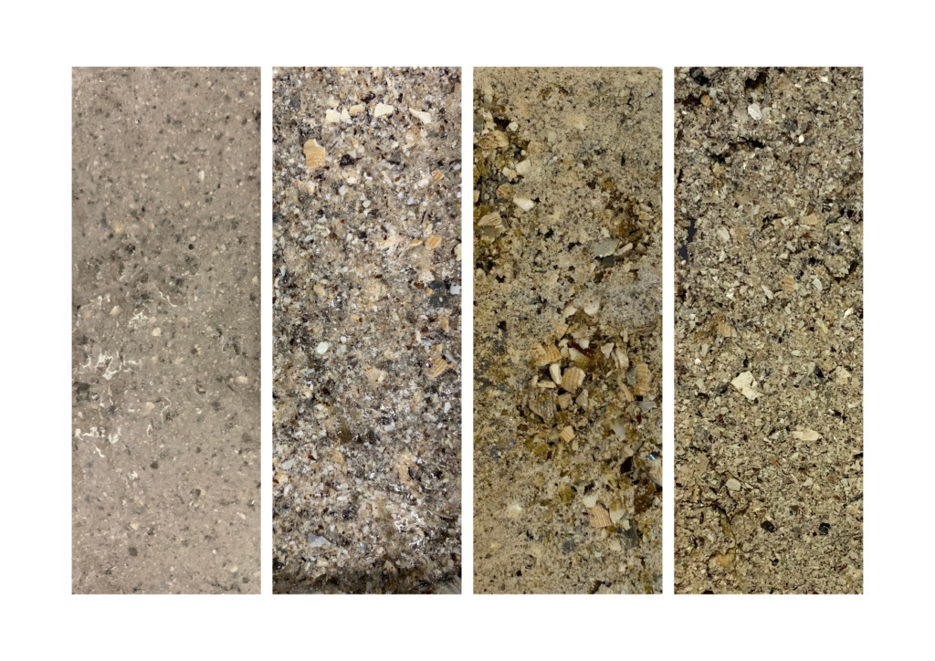 Seashells / Biocomposite material – IAAC Blog