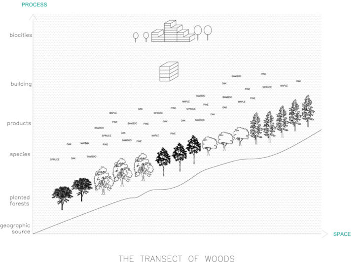 THE TRANSECT OF WOODS – IAAC Blog