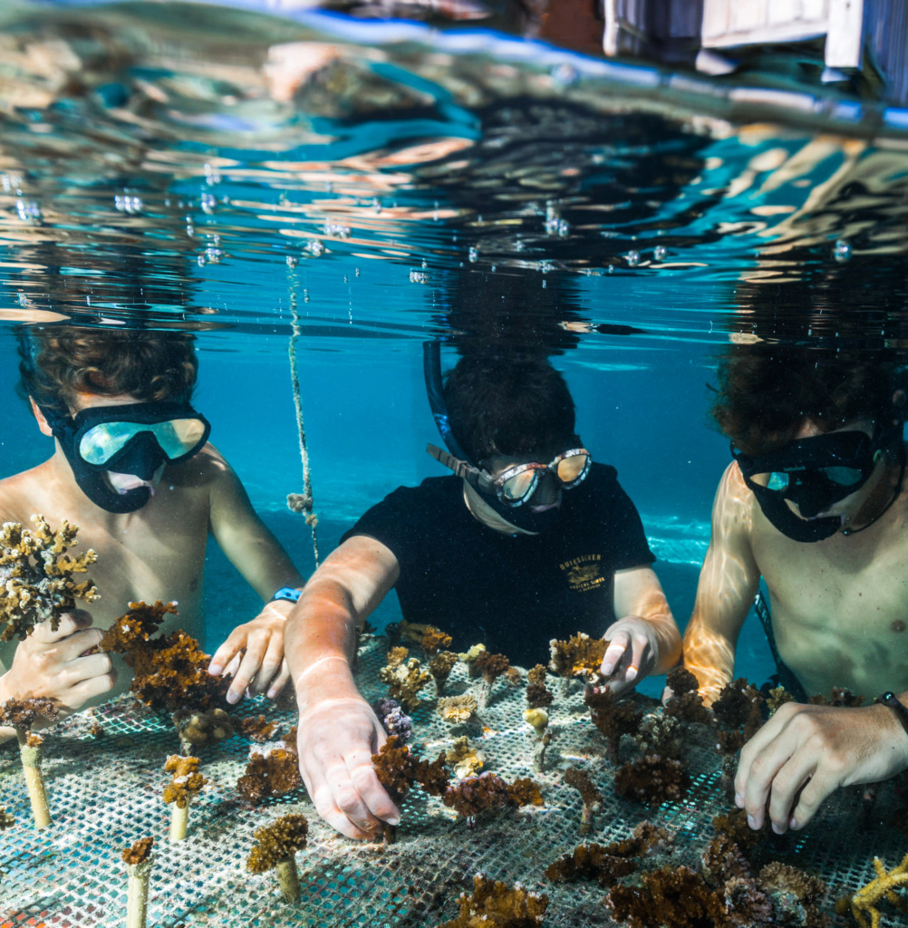 Liquid Landscape- Workspace for the Future – IAAC Blog