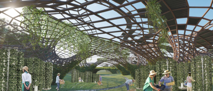 URBANIZING FARMCULTURE - Integration of Farms in Urban Context – IAAC Blog