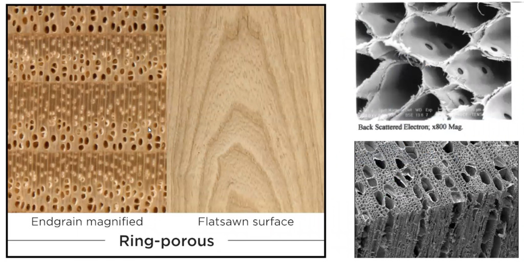 Botijo // Ecological Mass Timber Prototype – IAAC Blog
