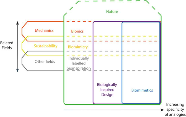 Bioinspirartion in Structural Design – IAAC Blog
