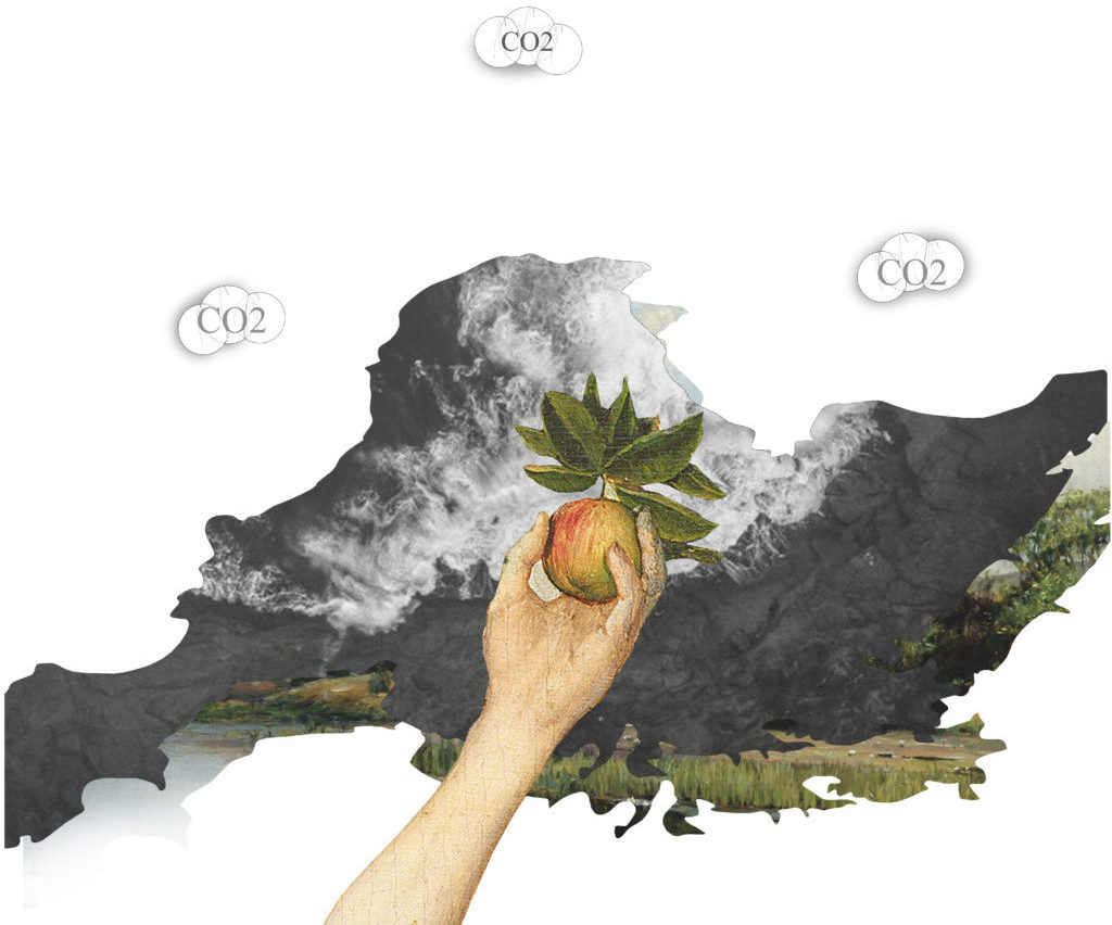 Decarbonizor l carbon l carbon capture l Carbon rocks