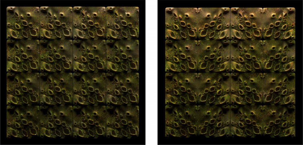 MOSS TEXTURES – IAAC Blog