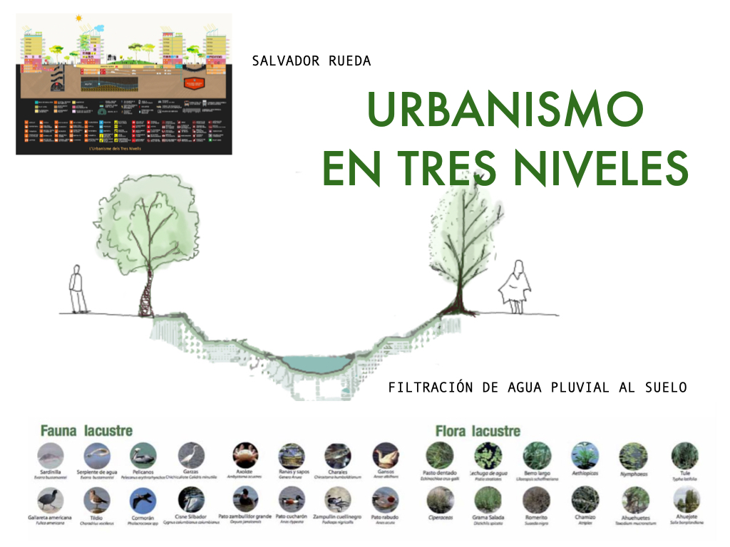 Ciudad Anfibia – IAAC Blog