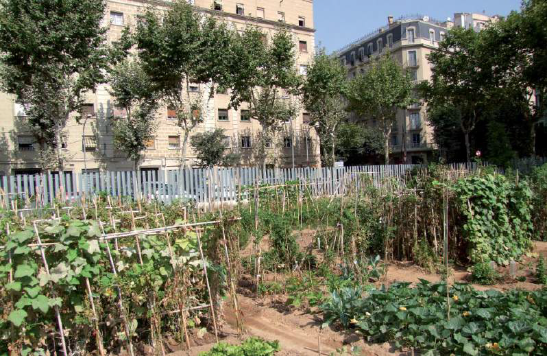 Plant_D – IAAC Blog