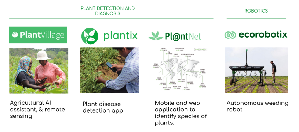 Plant_D – IAAC Blog