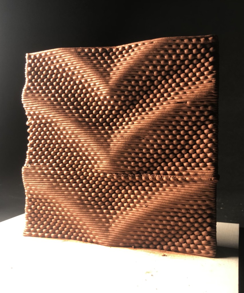 living texture – IAAC Blog