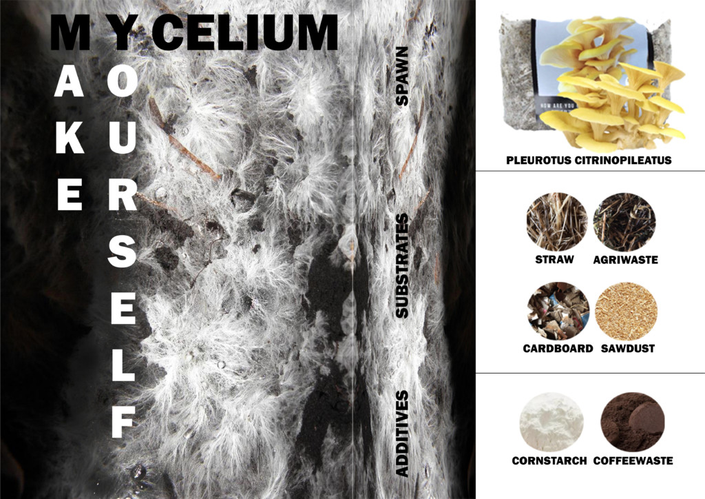 VIR/ Growing Mycelium – IAAC Blog