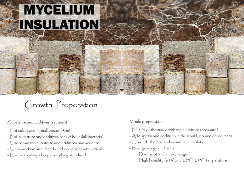 VIR/ Growing Mycelium – IAAC Blog