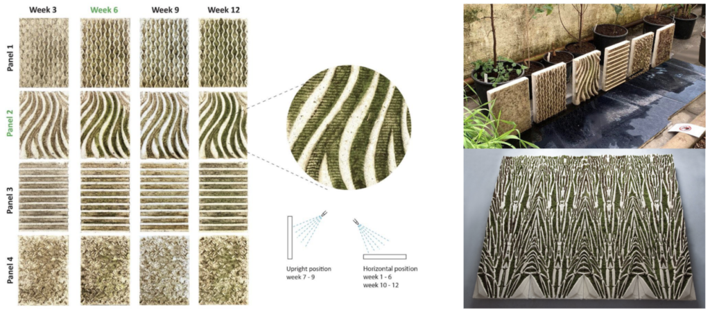 living texture – IAAC Blog