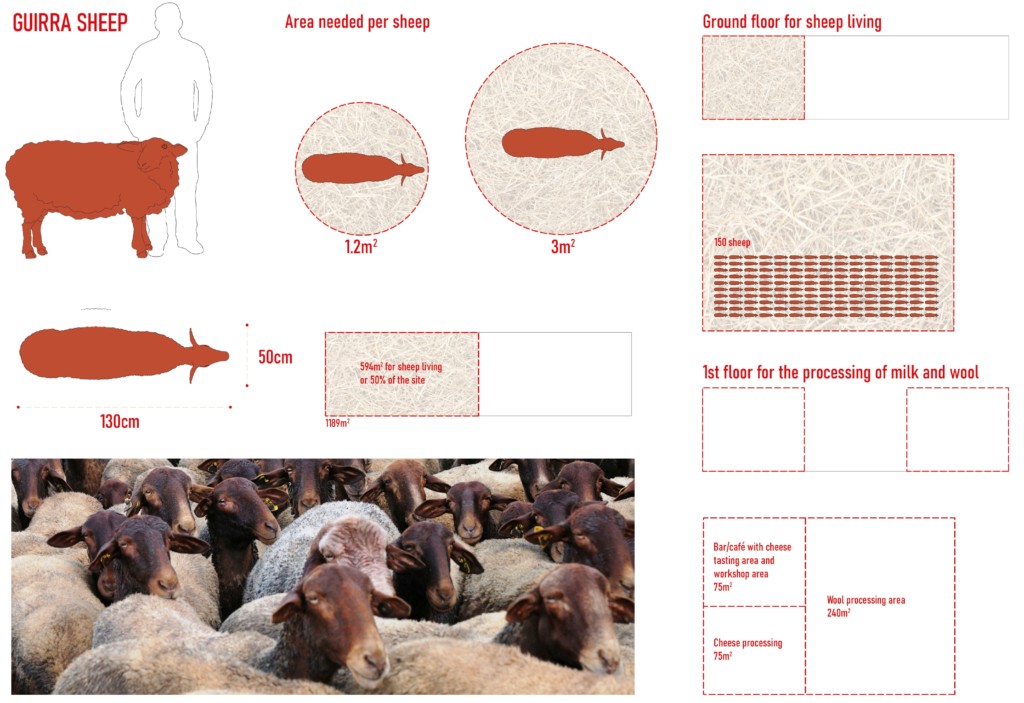 Sheepscape: Collaborative Context and Reconsidering the Human-Animal ...