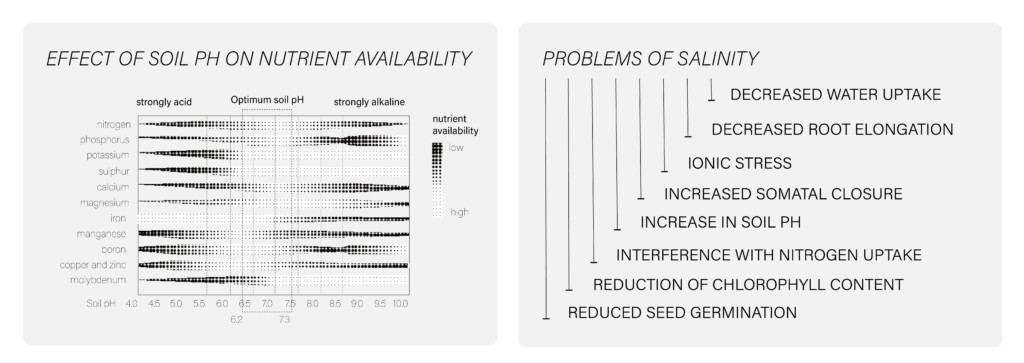 ECOLOGY OF RESILIENCE – IAAC Blog