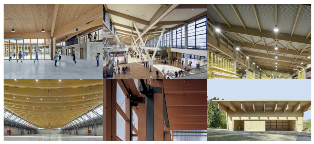 STRUCTURAL MASS TIMBER SYSTEMS FOR LRAGE SCALE FACILITIES - BEAMS ...