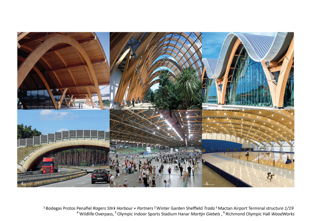 Case Study of Arches_STRUCTURAL MASS TIMBER SYSTEMS FOR LARGE ...